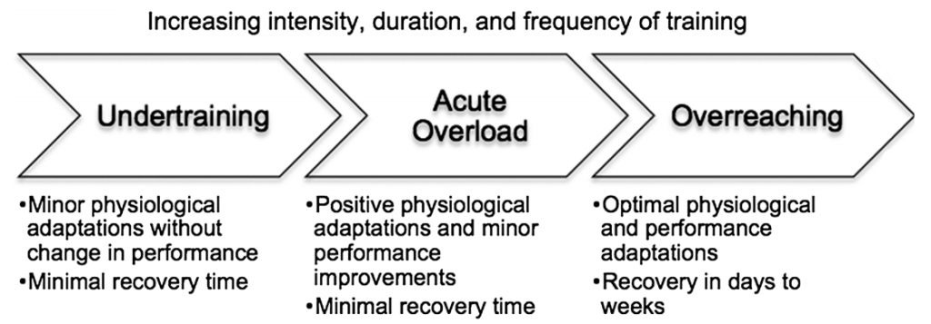 Overtraining: a Guide to Prevention and Recovery • Sci-Fit