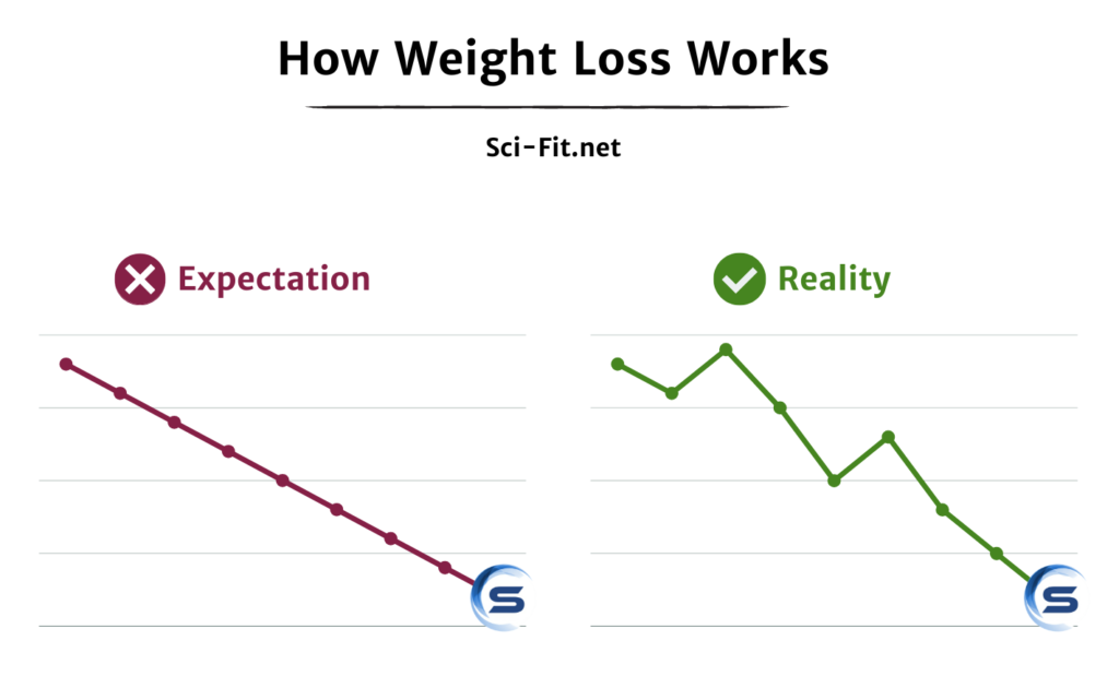 Can You Build Muscle in a Calorie Deficit? • Sci-Fit